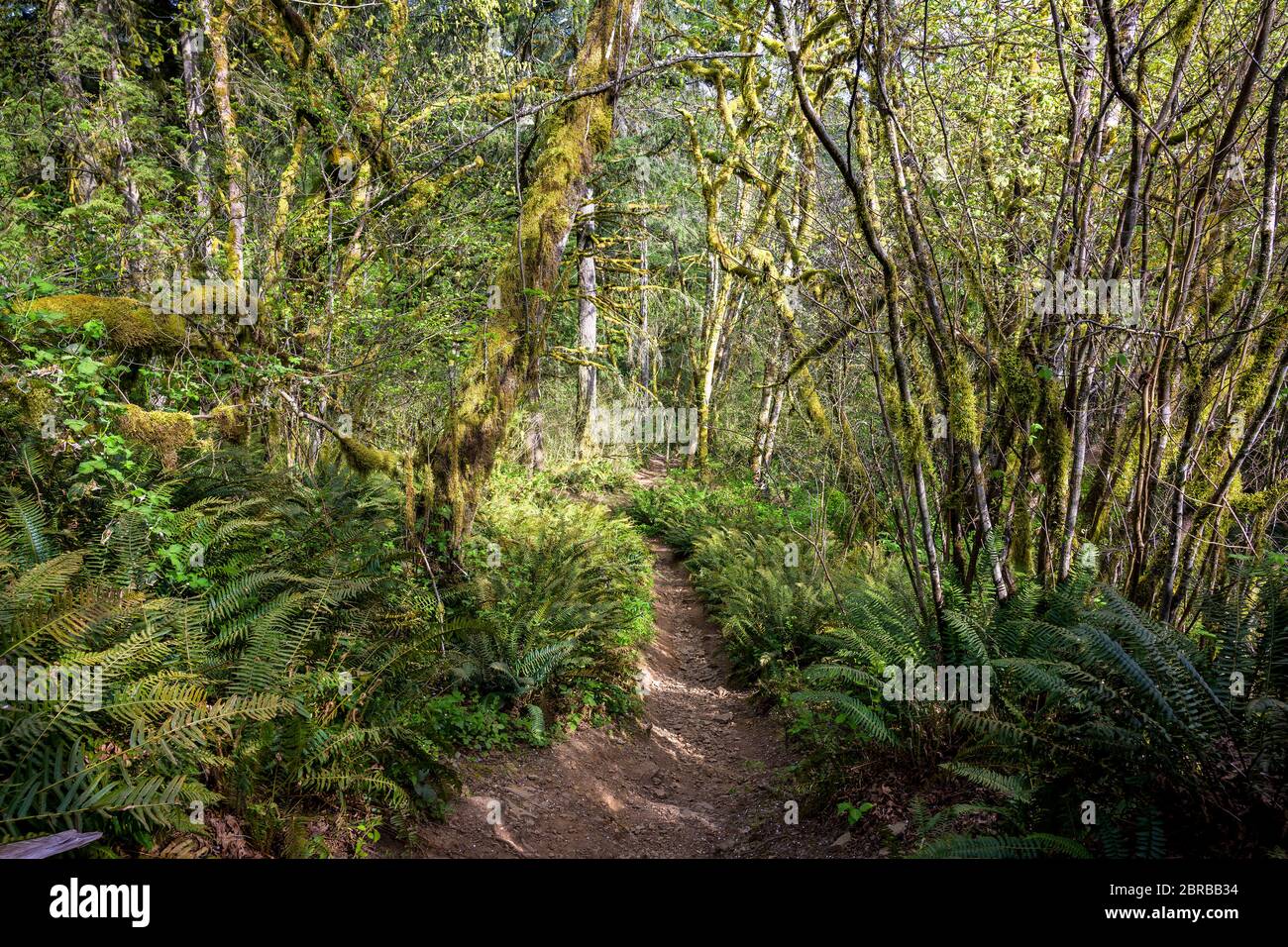 Usef hi-res stock photography and images - Alamy