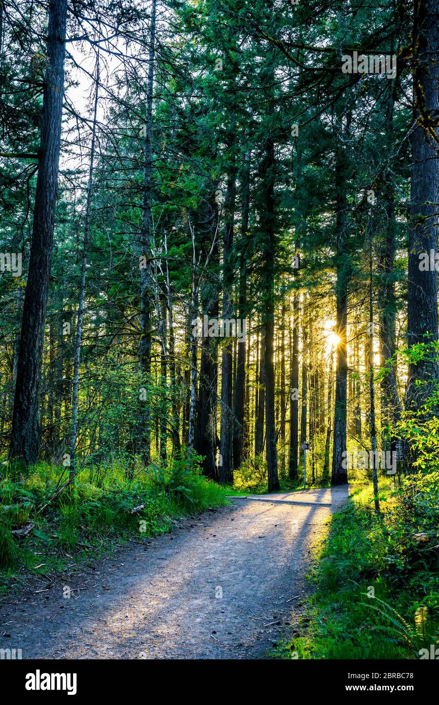 Usef hi-res stock photography and images - Alamy