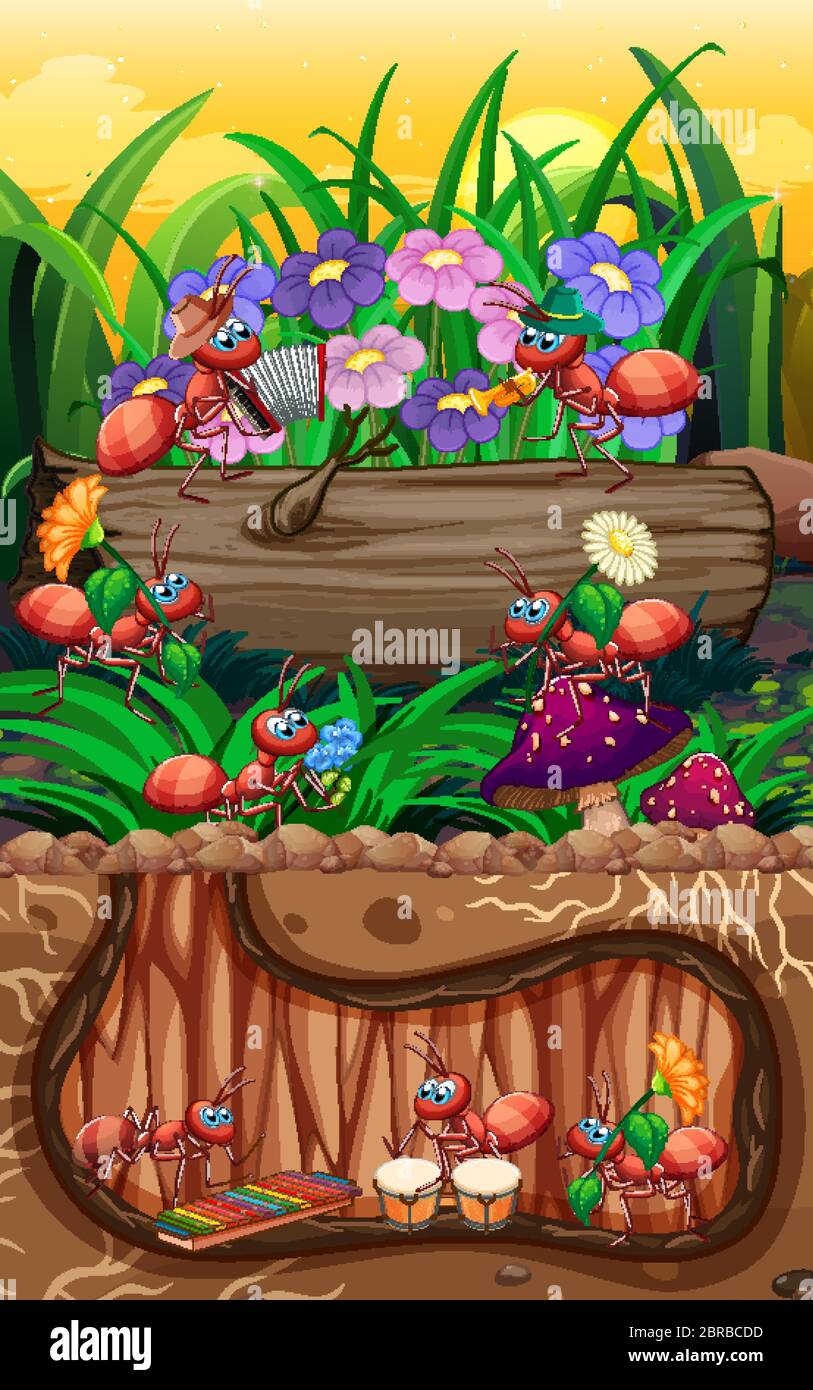 Scene with plants and insects in the garden illustration Stock Vector ...