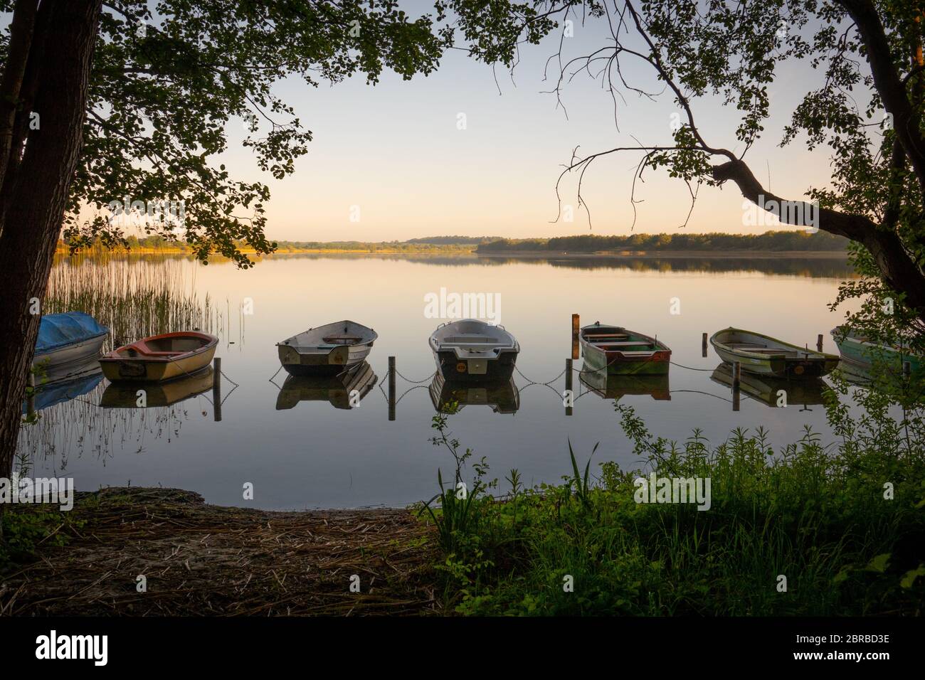 Rowing boats lie next to each other on the shore of a lake in ...