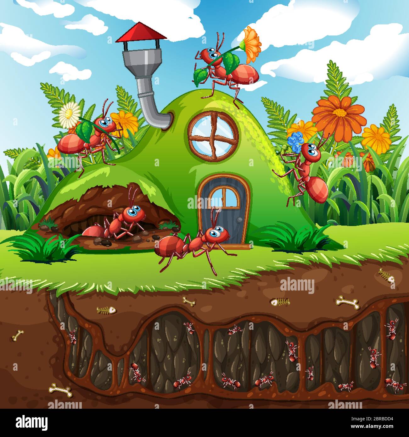 Ant family at the house illustration Stock Vector Image & Art - Alamy