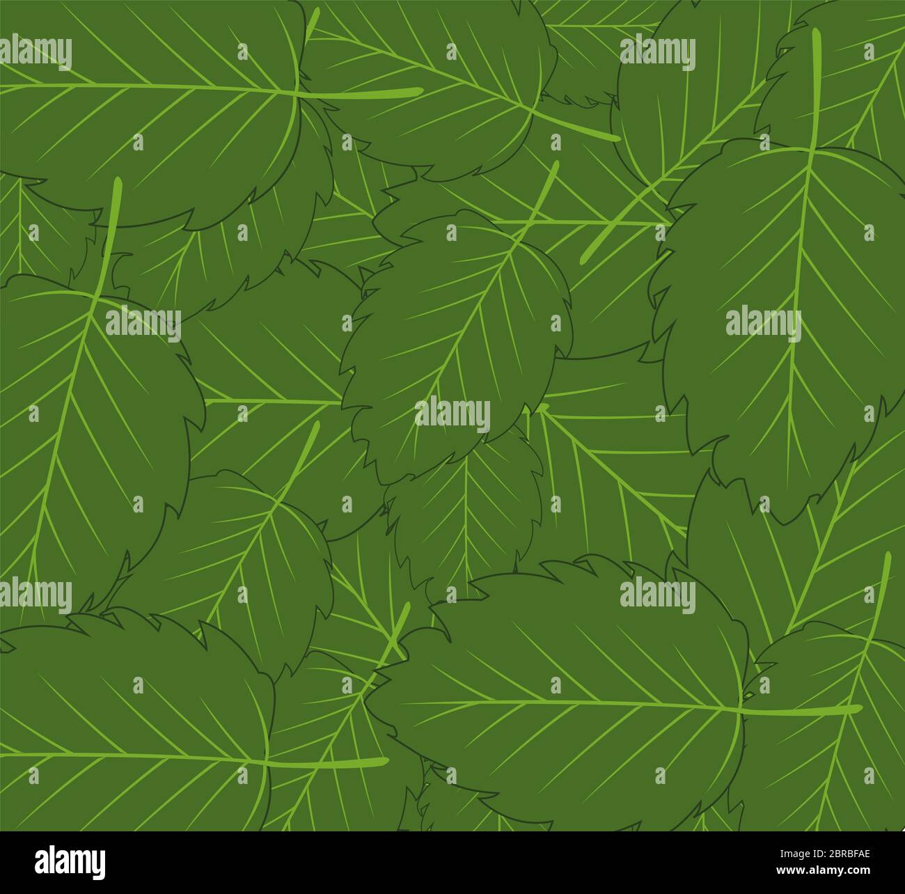 Vector illustration of the decorative background from green foliage ...