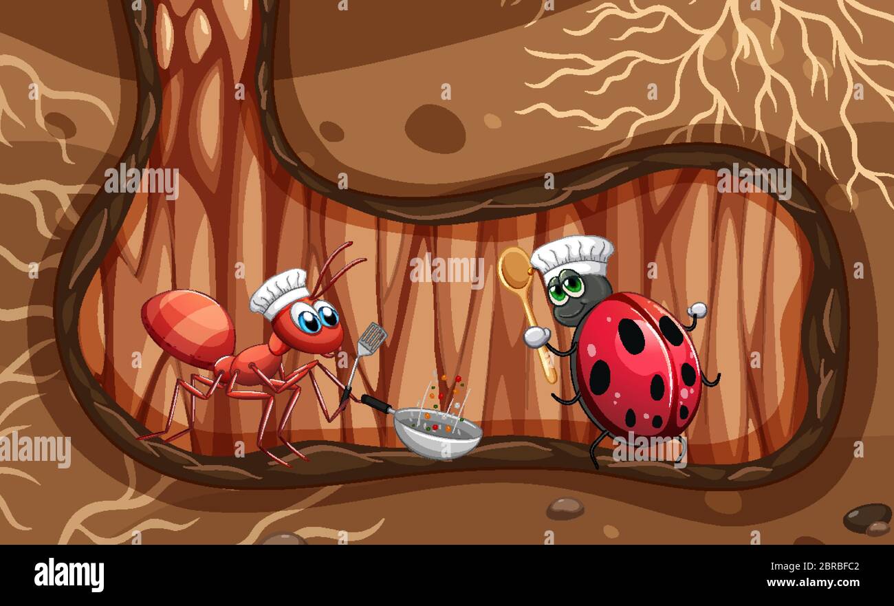 Underground scene with ant and ladybug cooking illustration Stock ...