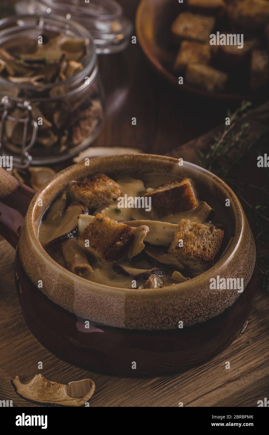 Rustic mushrooms soup, czech forest mushrooms, fresh collect in woods ...