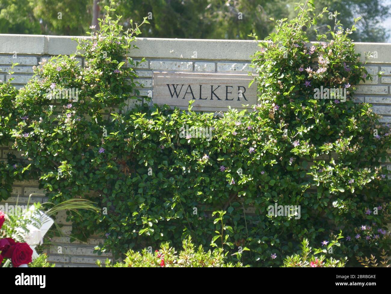 Los Angeles, California, USA 20th May 2020 A general view of atmosphere of Paul Walker's Grave ...