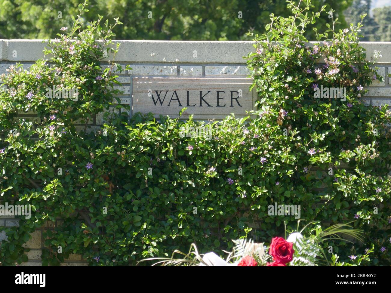 Los Angeles, California, USA 20th May 2020 A general view of atmosphere of Paul Walker's Grave ...