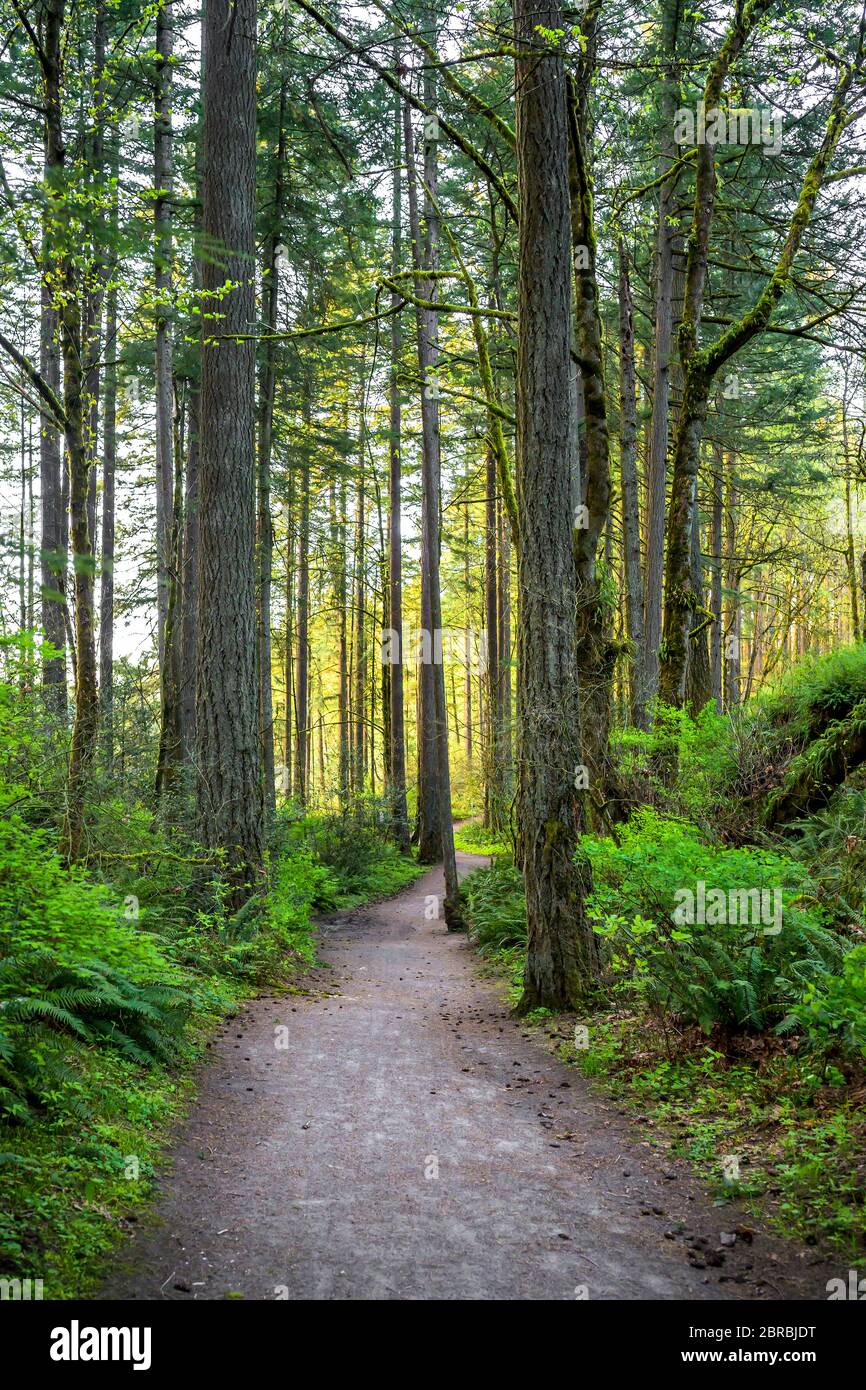 Winding ups and downs hi-res stock photography and images - Alamy