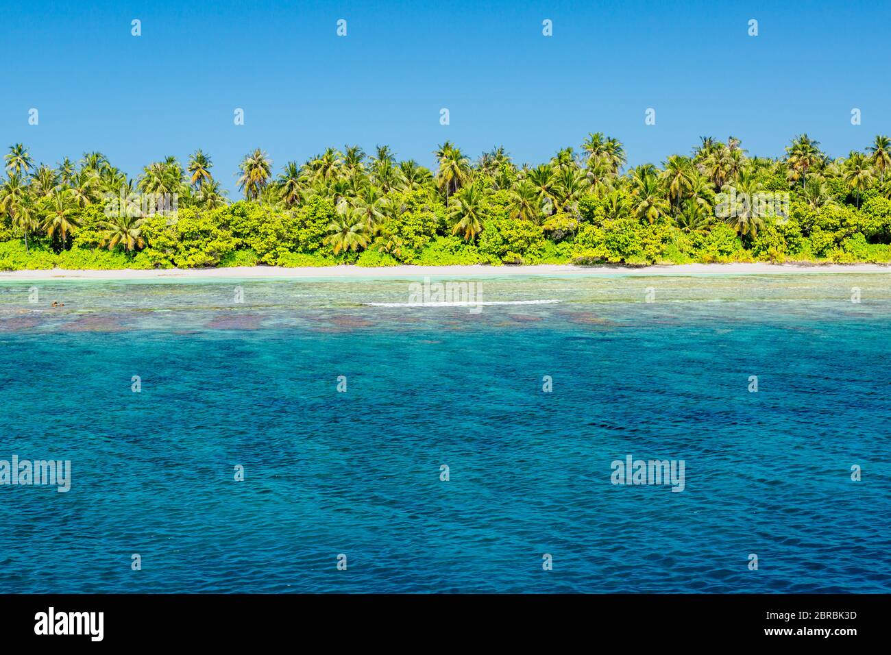Tropical island paradise, layers of nature. Blue sea water with ...