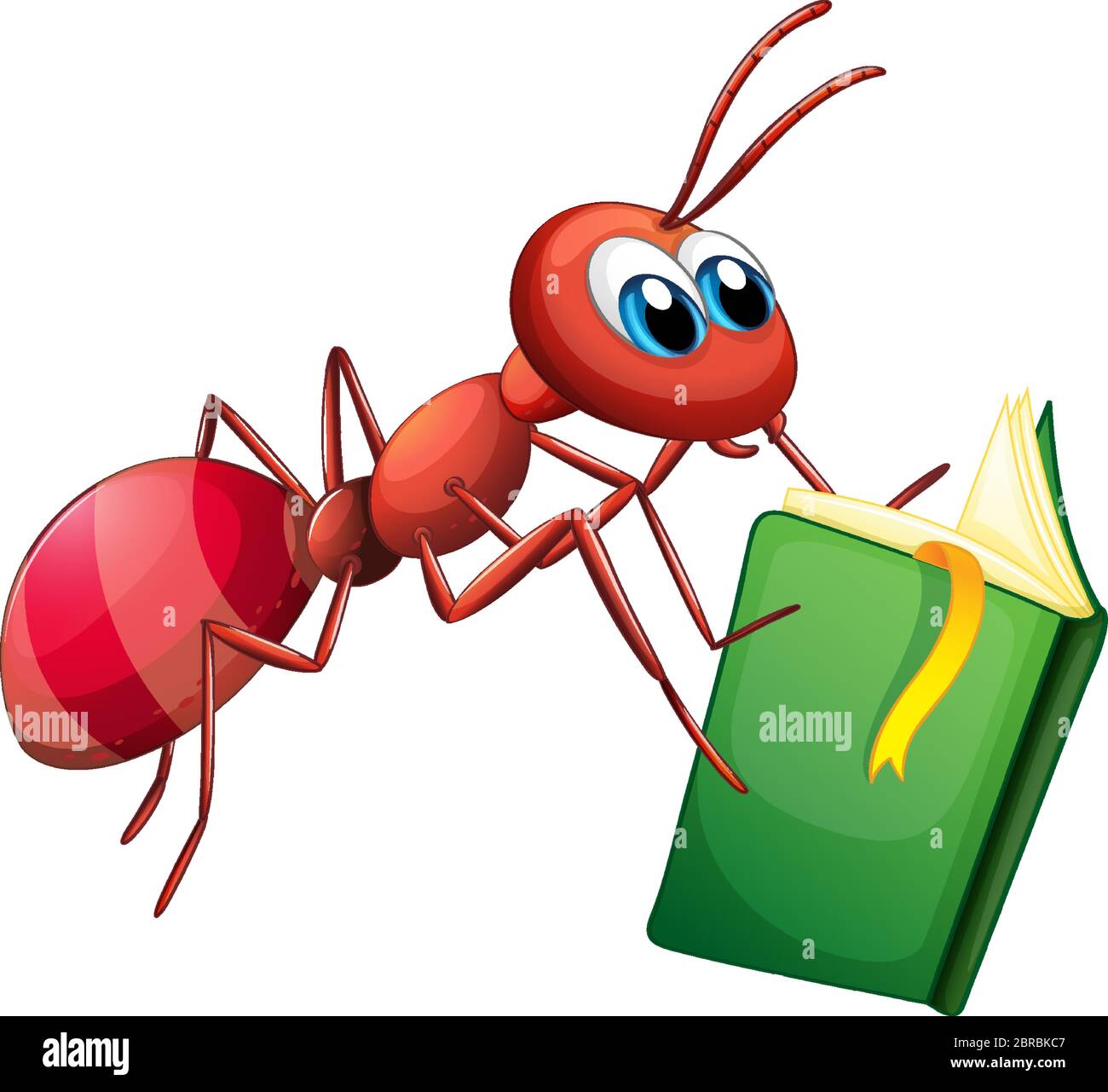 Ant reading book on white background illustration Stock Vector Image ...