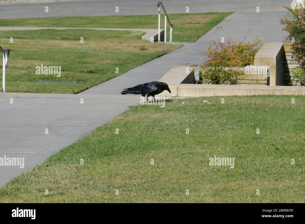 Los Angeles, California, USA 20th May 2020 A general view of atmosphere ...