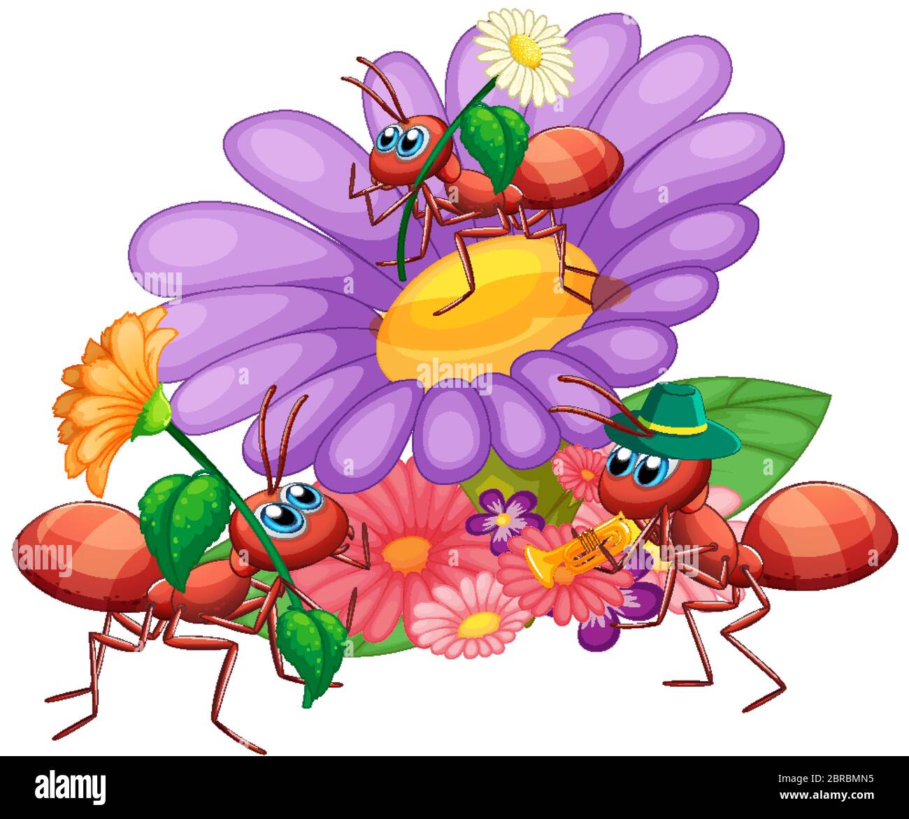 Ants with beautiful flower illustration Stock Vector Image & Art - Alamy
