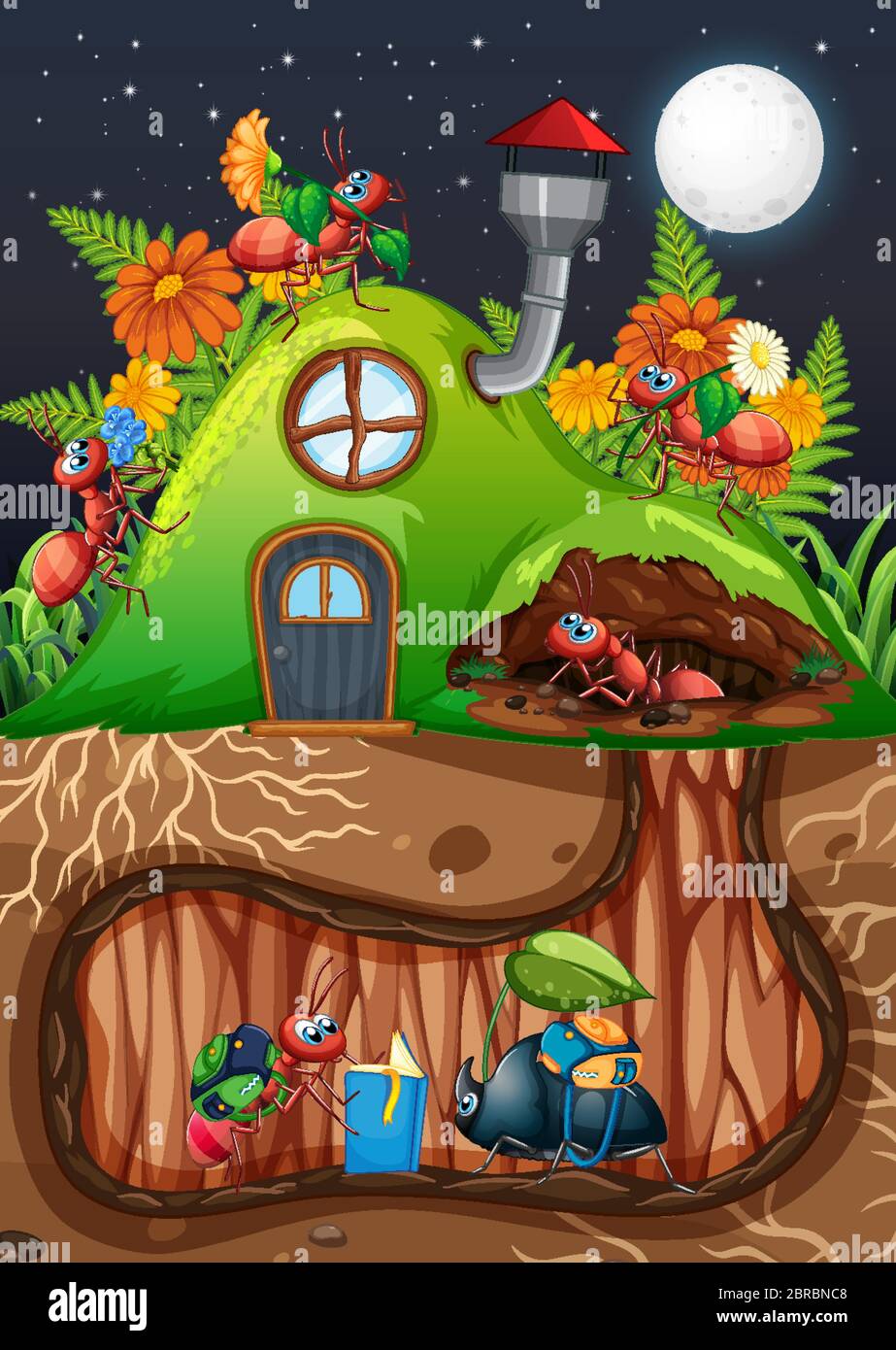 Scene with plants and insects in the garden illustration Stock Vector ...