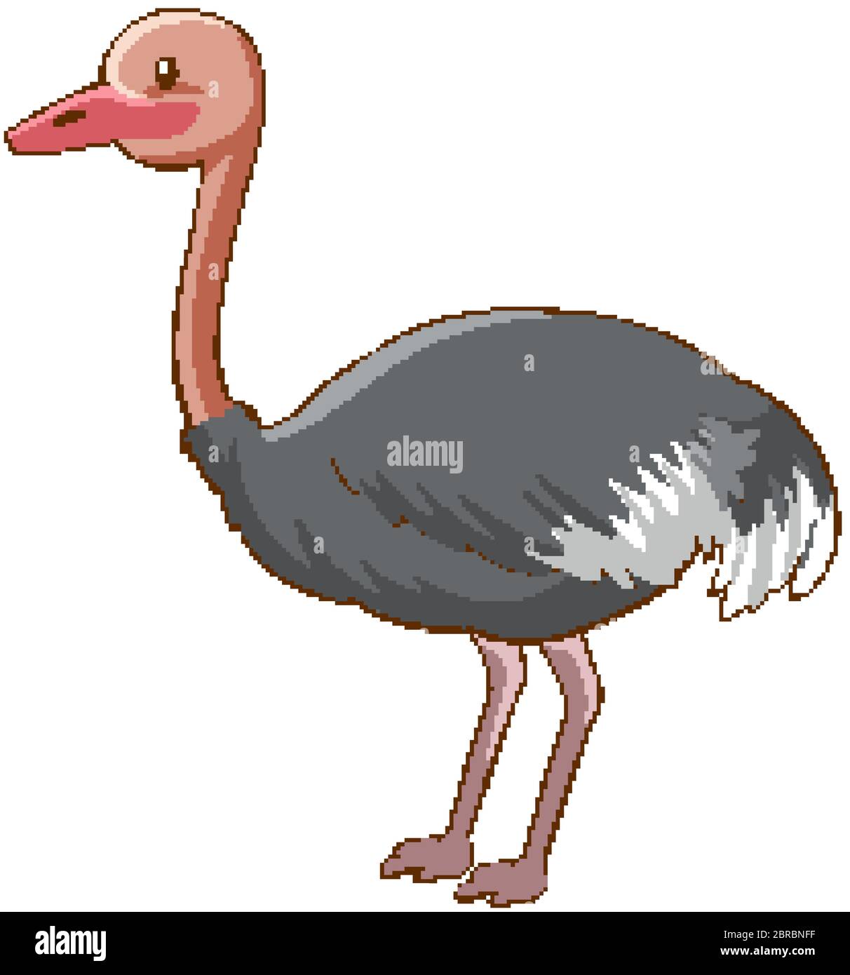 Ostrich cartoon hi-res stock photography and images - Alamy