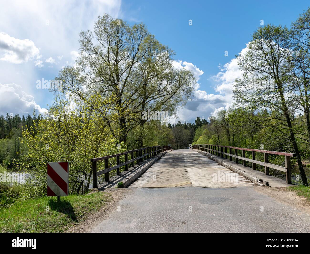 spring landscape with old bridge pavement texture, bright green trees ...