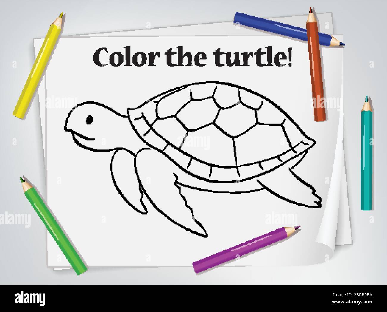 Children turtle coloring worksheet illustration Stock Vector Image ...