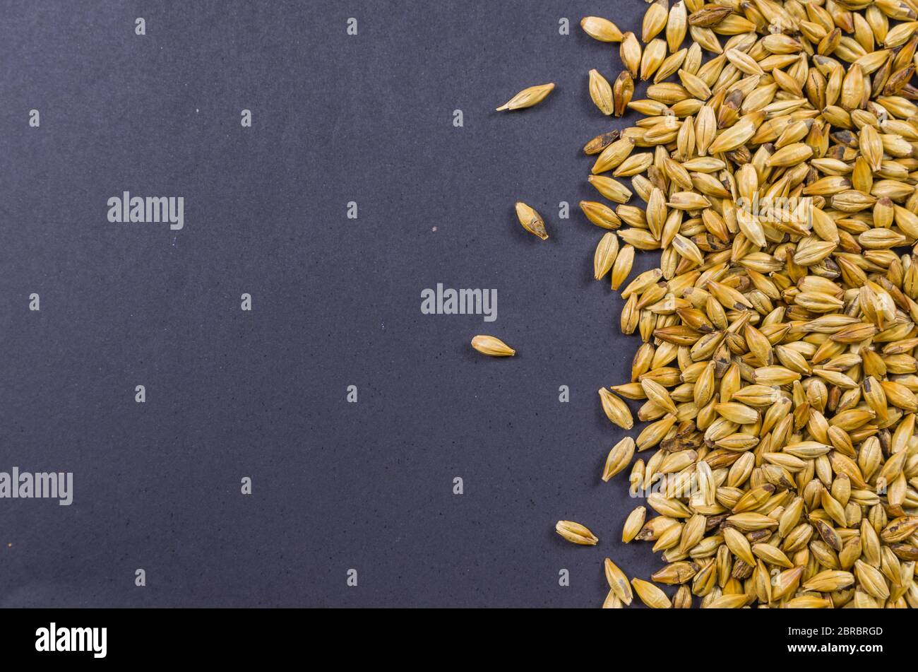 Texture with of barley malt for beer, pale ale, pilsen Stock Photo - Alamy