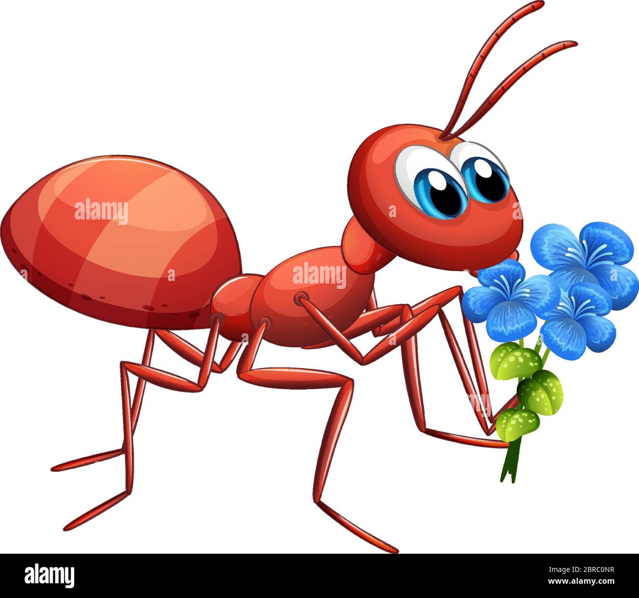 Cute ant cartoon character holding blue flower on white background ...