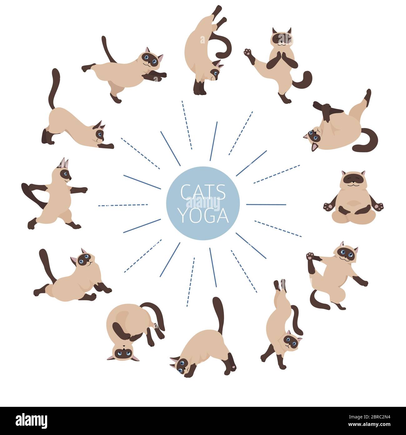 Cats yoga. Siamese cats. Different yoga poses and exercises. Vector ...