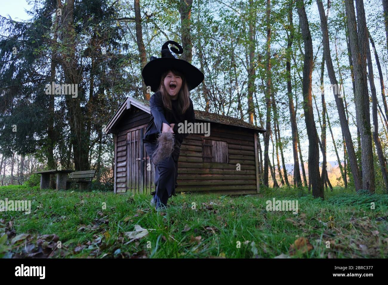 Halloween concept .angry little witch with a broom near an old wooden ...