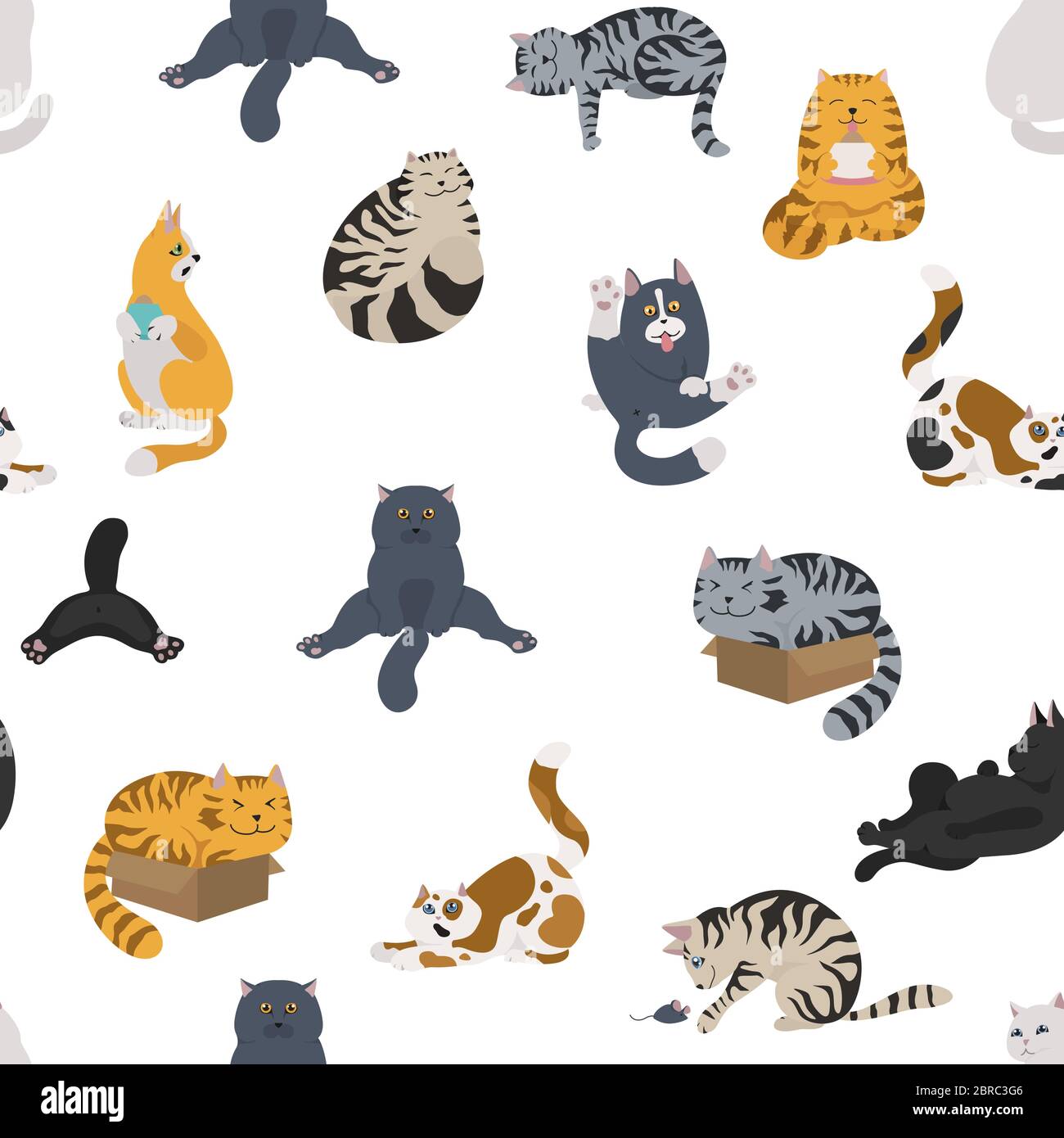 Cartoon cat characters seamless pattern. Different cat`s poses, yoga ...
