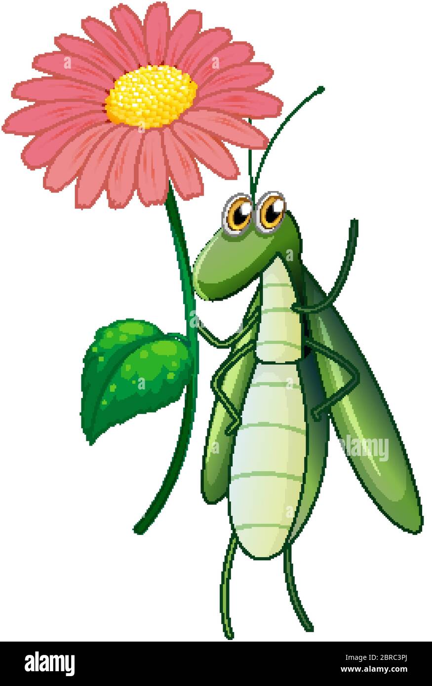 Green bug holding pink flower on white background illustration Stock ...
