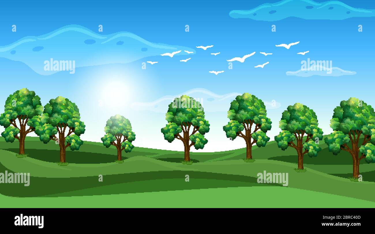 Scene with many trees in the field illustration Stock Vector Image ...