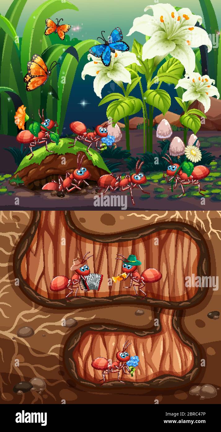 Scene with plants and insects in the garden illustration Stock Vector ...