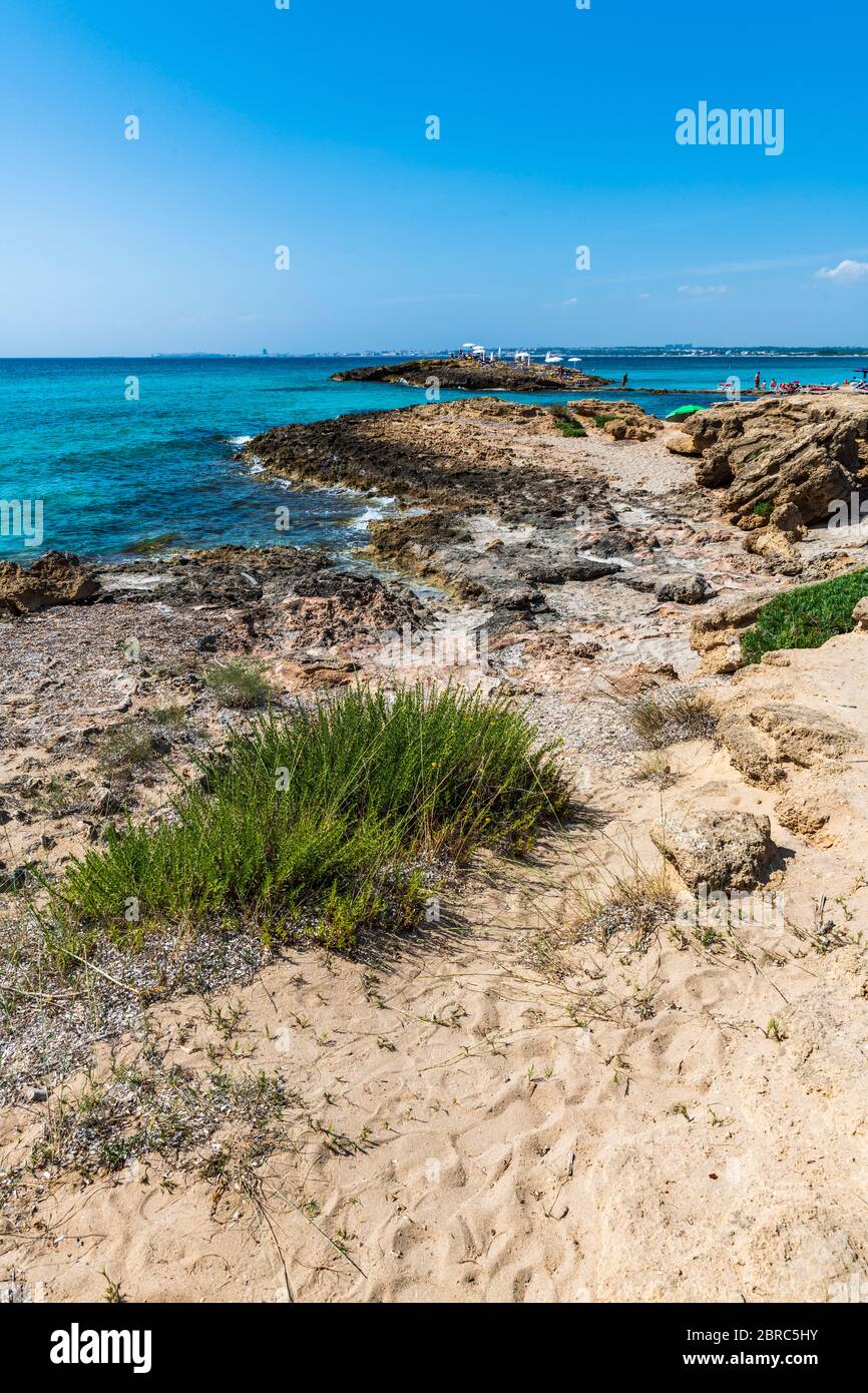 Golden beaches and clear sea. Magic of Salento. Punta della Suina ...