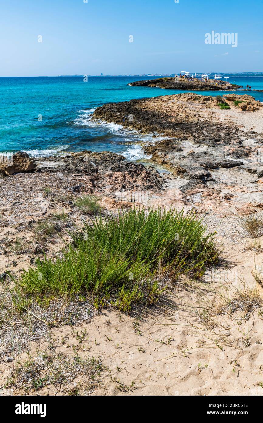 Golden beaches and clear sea. Magic of Salento. Punta della Suina ...
