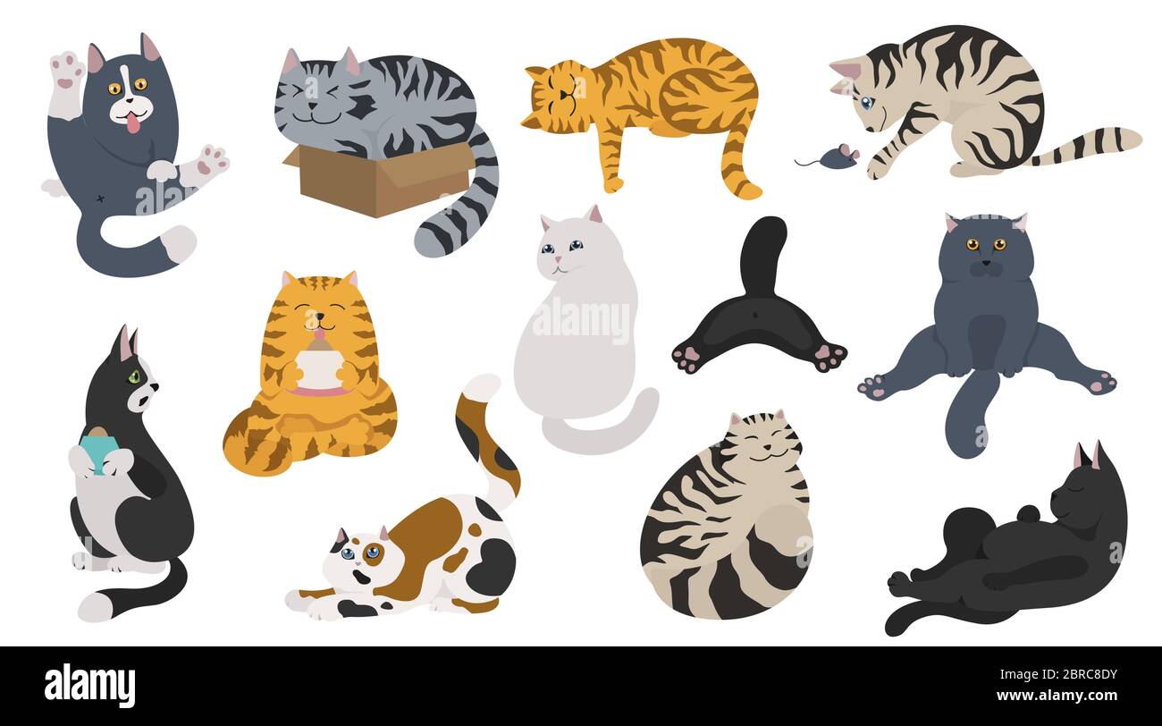 Cartoon cat characters collection. Different cat`s poses, yoga and ...