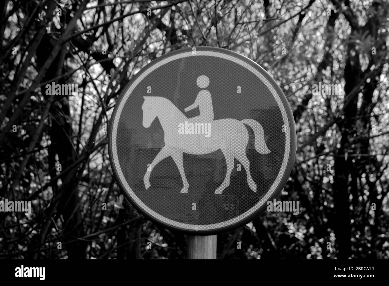 Horses may kick or bite sign Black and White Stock Photos & Images - Alamy