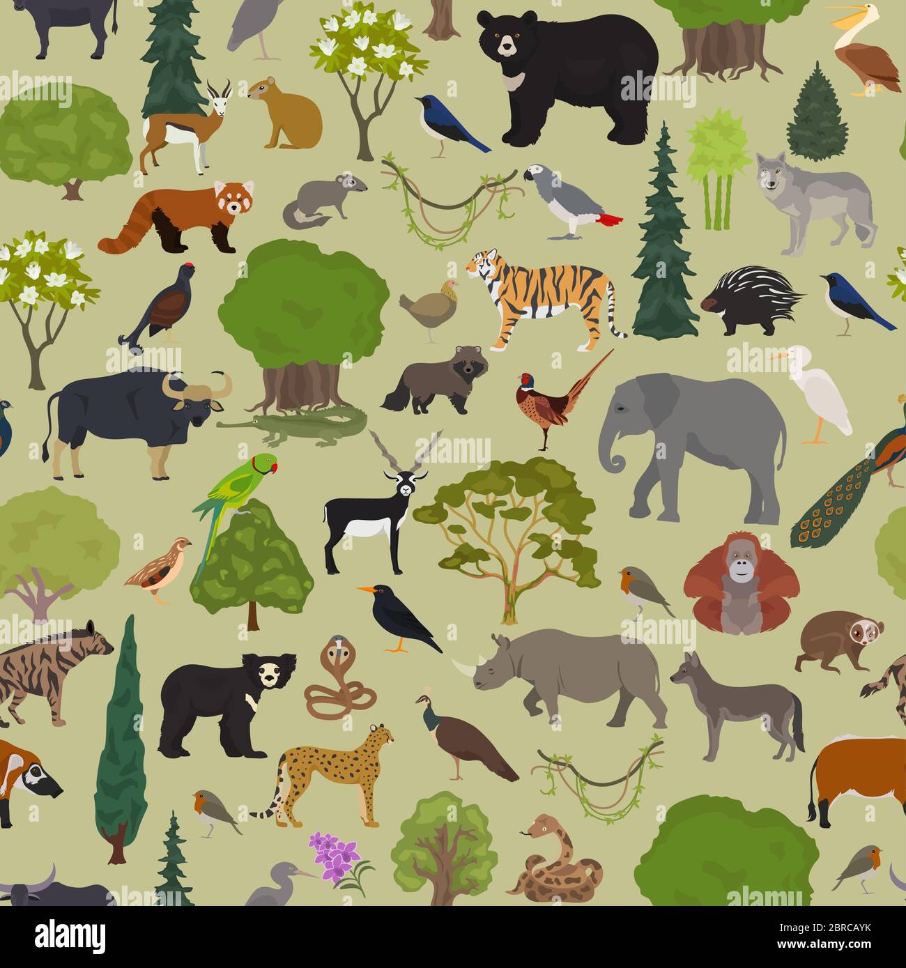 Monsoon forest biome, natural region seamless pattern. Terrestrial ...