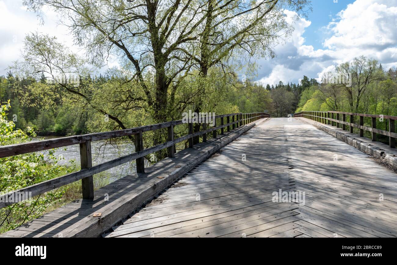spring landscape with old bridge pavement texture, bright green trees ...