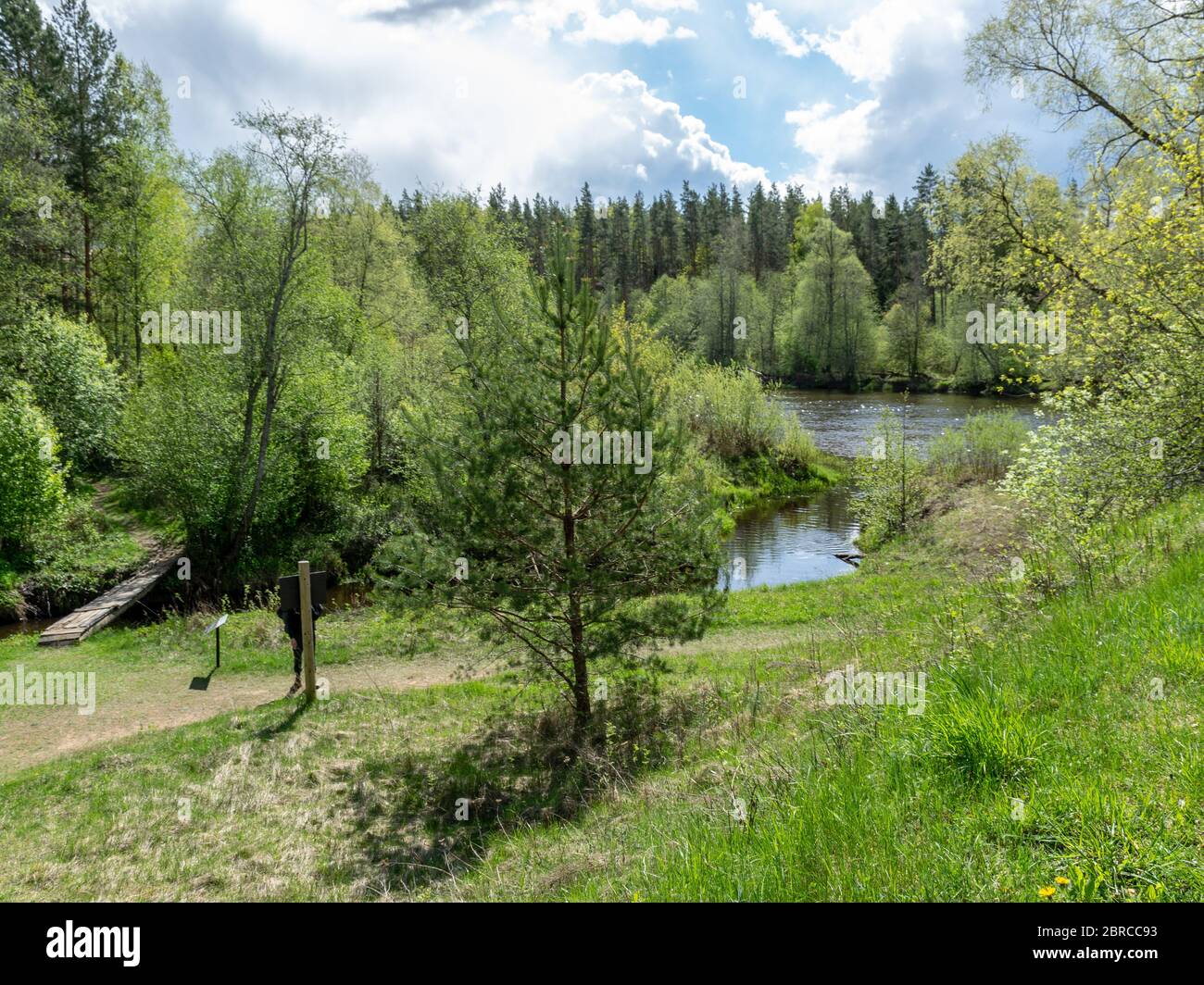 beautiful spring landscape with a river, the first bright spring ...