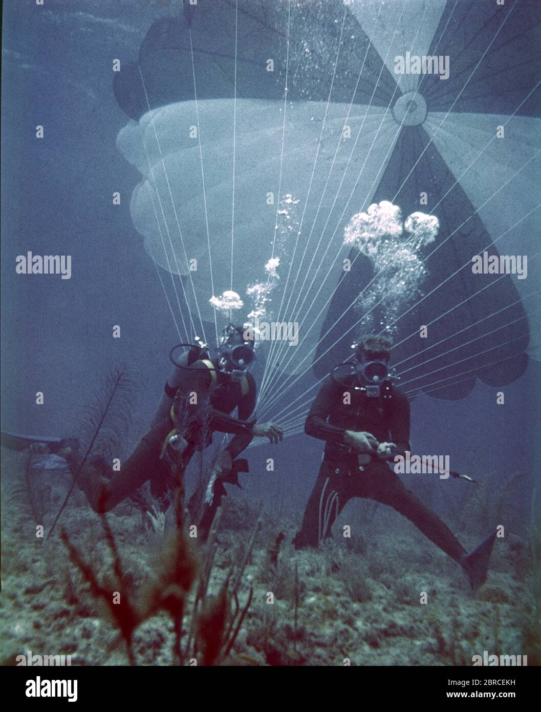 1965 Director High Resolution Stock Photography and Images - Alamy
