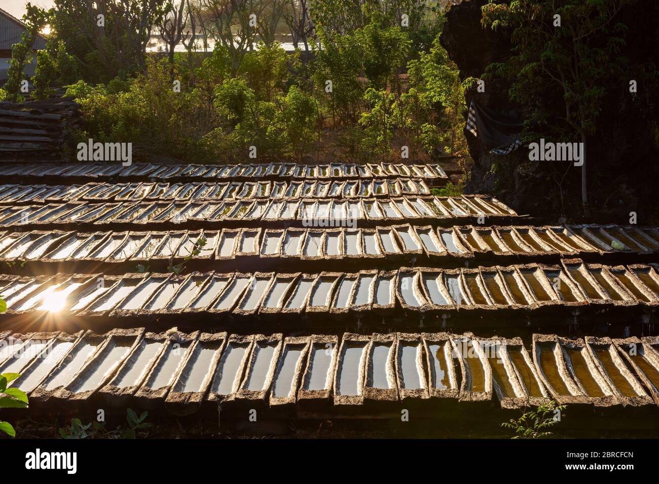 Making sea salt in Bali. Salt making process Stock Photo - Alamy