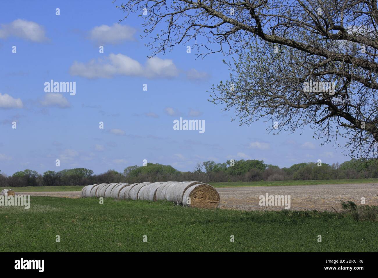 Countryside sky hi-res stock photography and images - Alamy