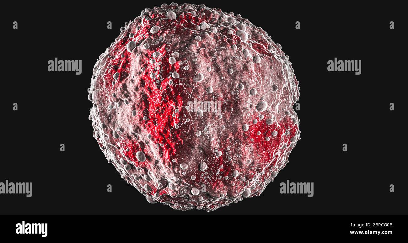 Gram positive bacteria hi-res stock photography and images - Alamy