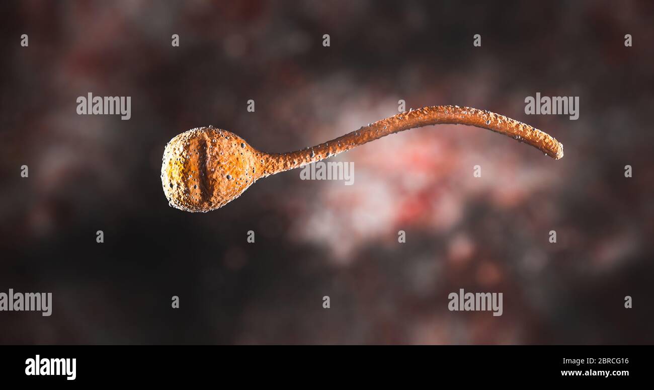 Science Photo of bacteria Corynebacterium is a genus of bacteria that ...