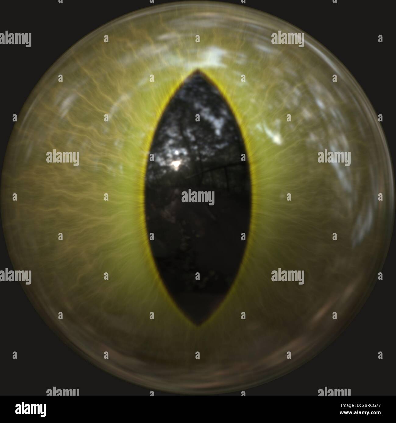 pupil eye iris Stock Photo - Alamy