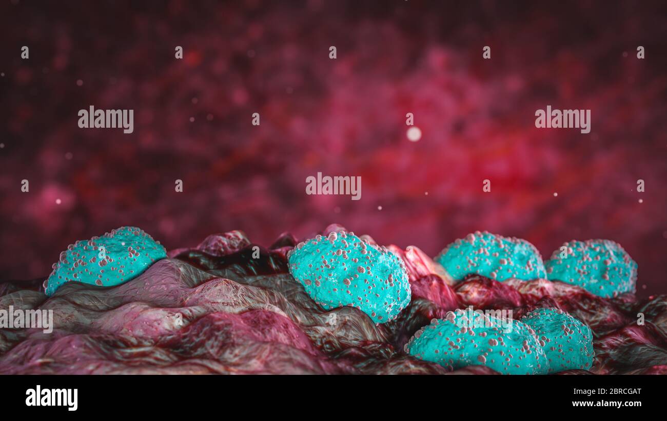 Science Photo of bacteria Acinetobacter is a genus of Gram-negative ...