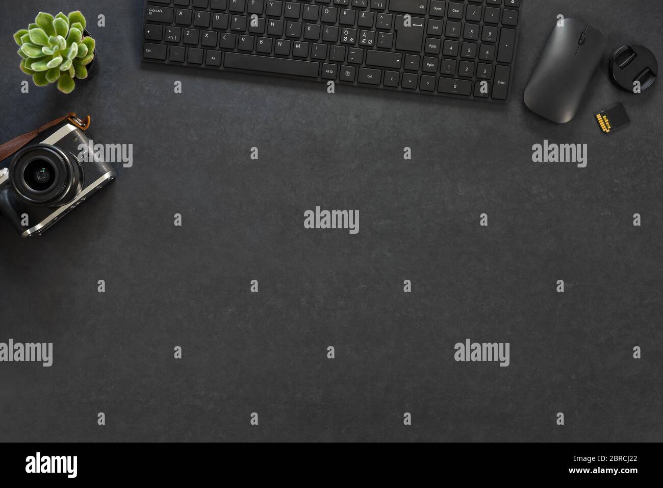 Overhead view of computer parts with camera by green plant on table ...