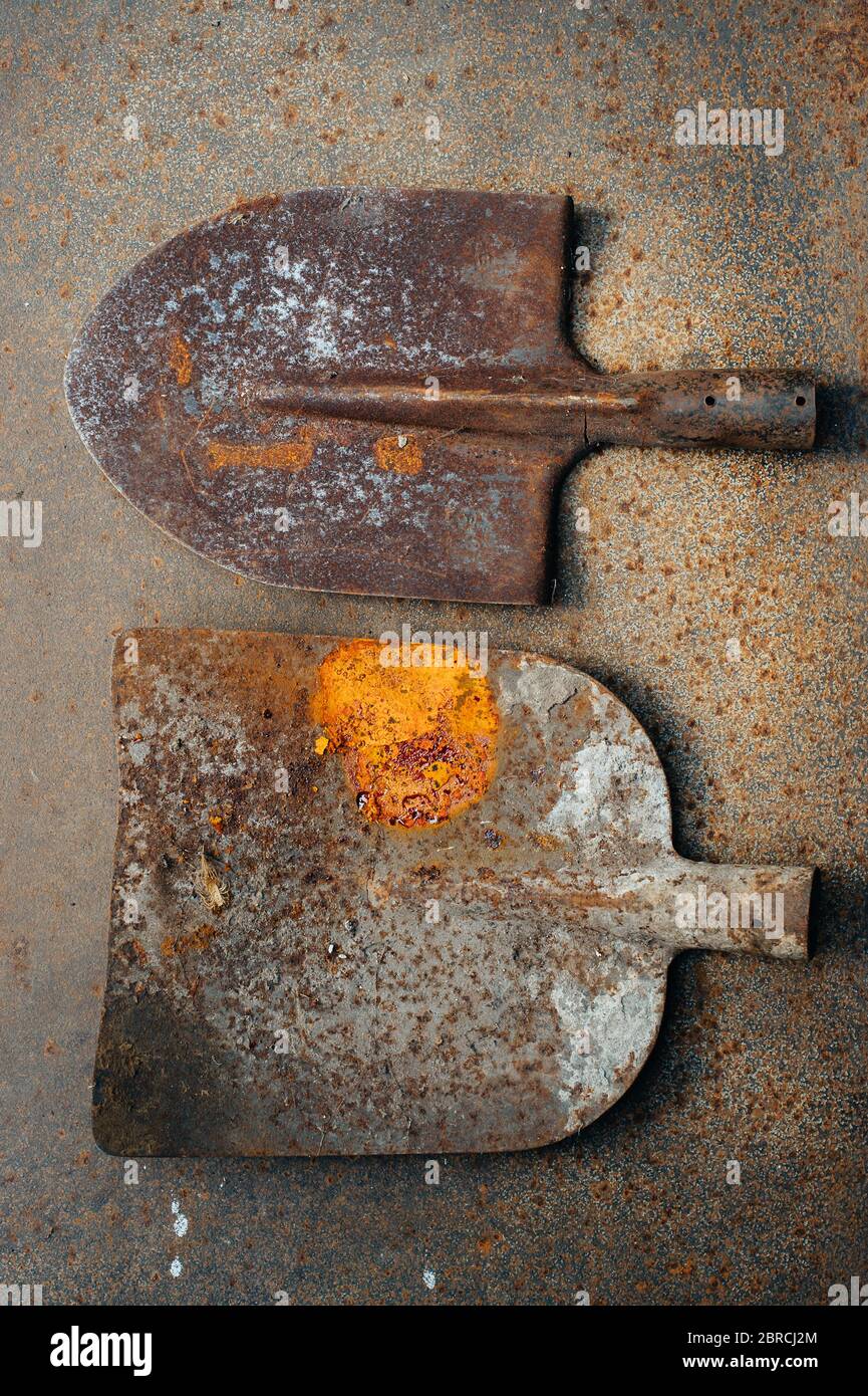 Old rusty shovel and bayonet spade on a rusty sheet of iron. Scrap ...