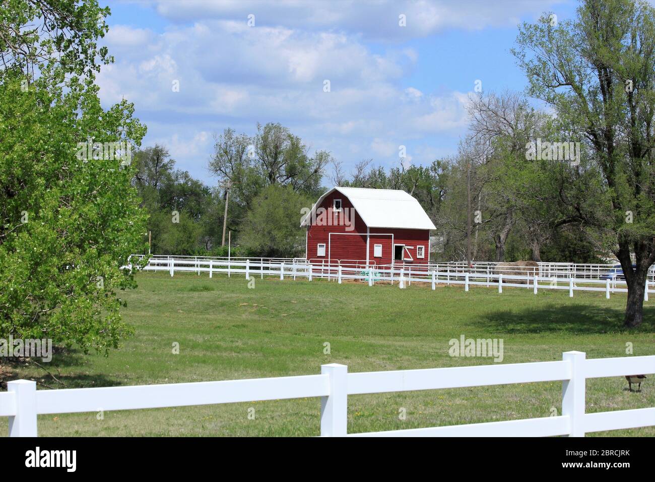 Kansas Red and white barn out in the country with blue sky and white ...