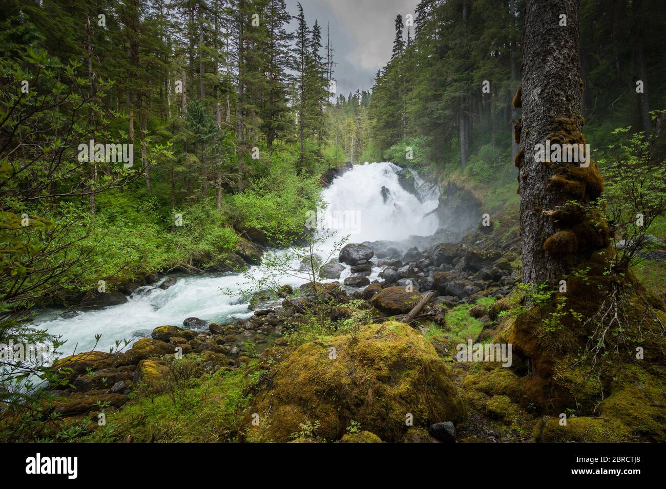 Cascade Trail, Thomas Bay, Southeast Alaska, USA, is a remote Tongass ...