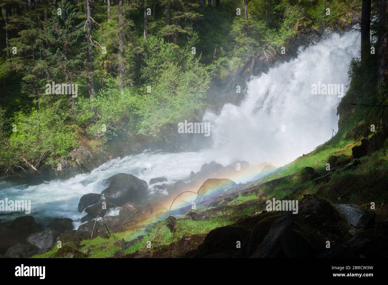 Tongass national forest hi-res stock photography and images - Alamy