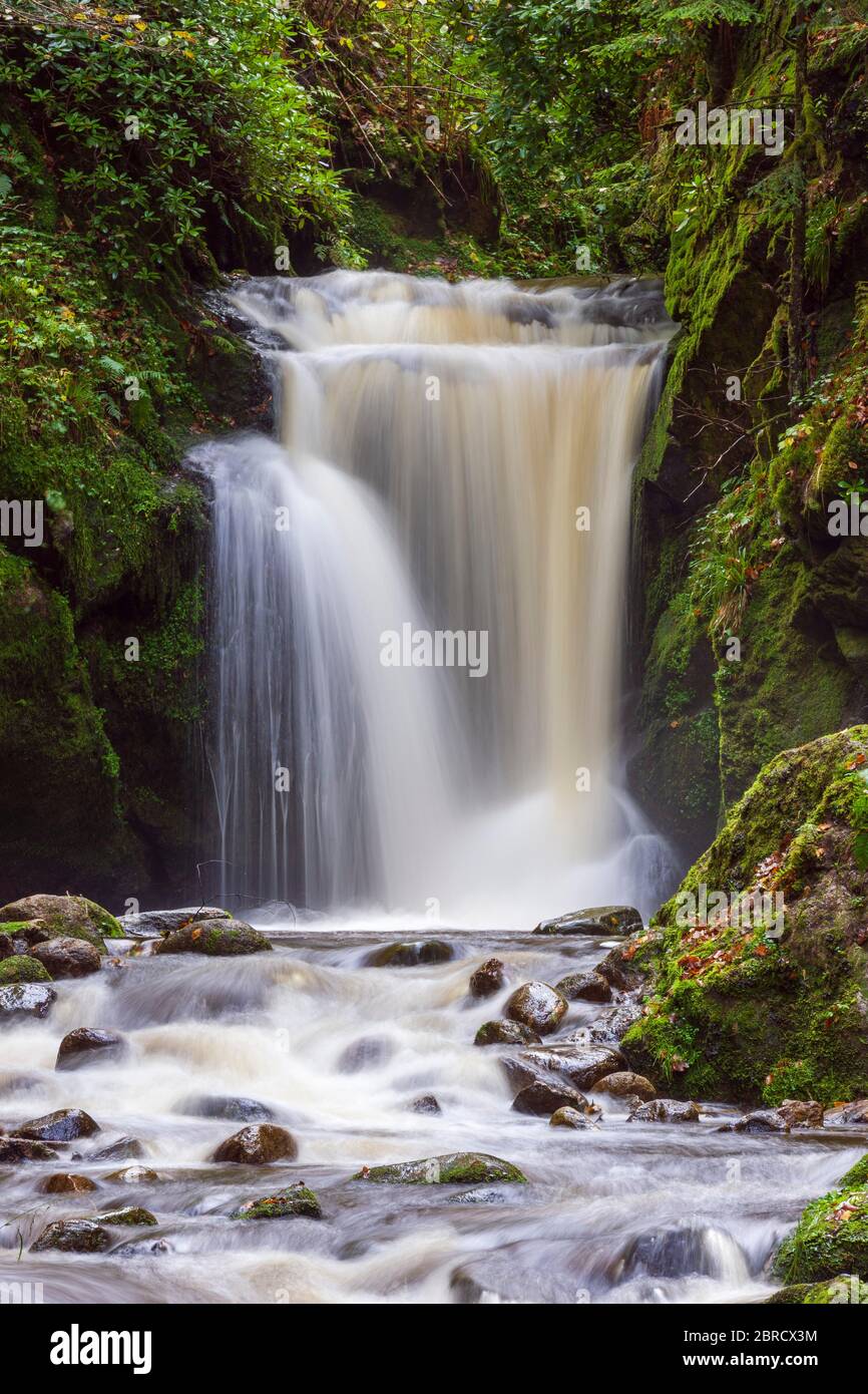 Geroldsau Waterfall, Grobbach River, Geroldsau, Baden-Baden, Northern ...