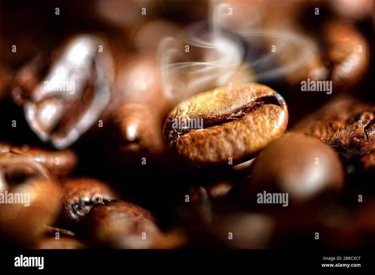 Roasted coffee beans, studio shot, Germany Stock Photo - Alamy