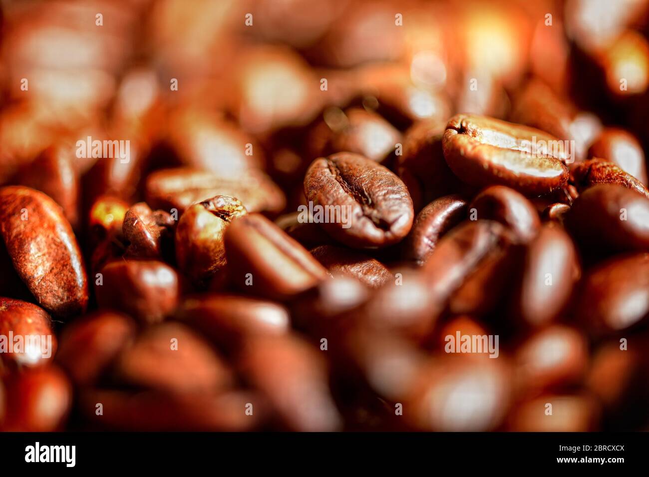 Roasted coffee beans, studio shot, Germany Stock Photo - Alamy