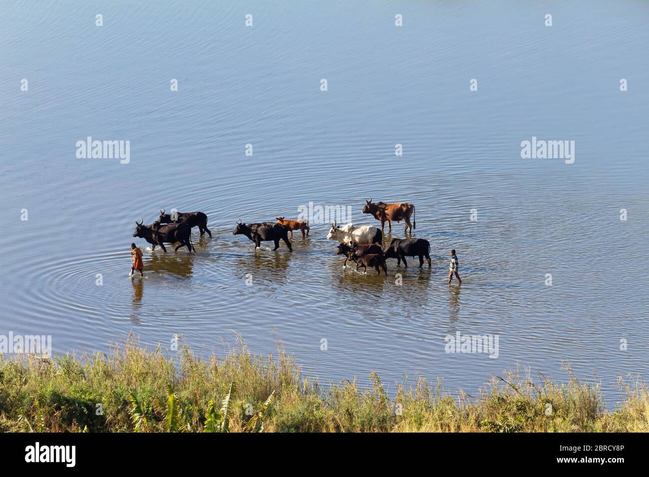 See itasy madagaskar hi-res stock photography and images - Alamy